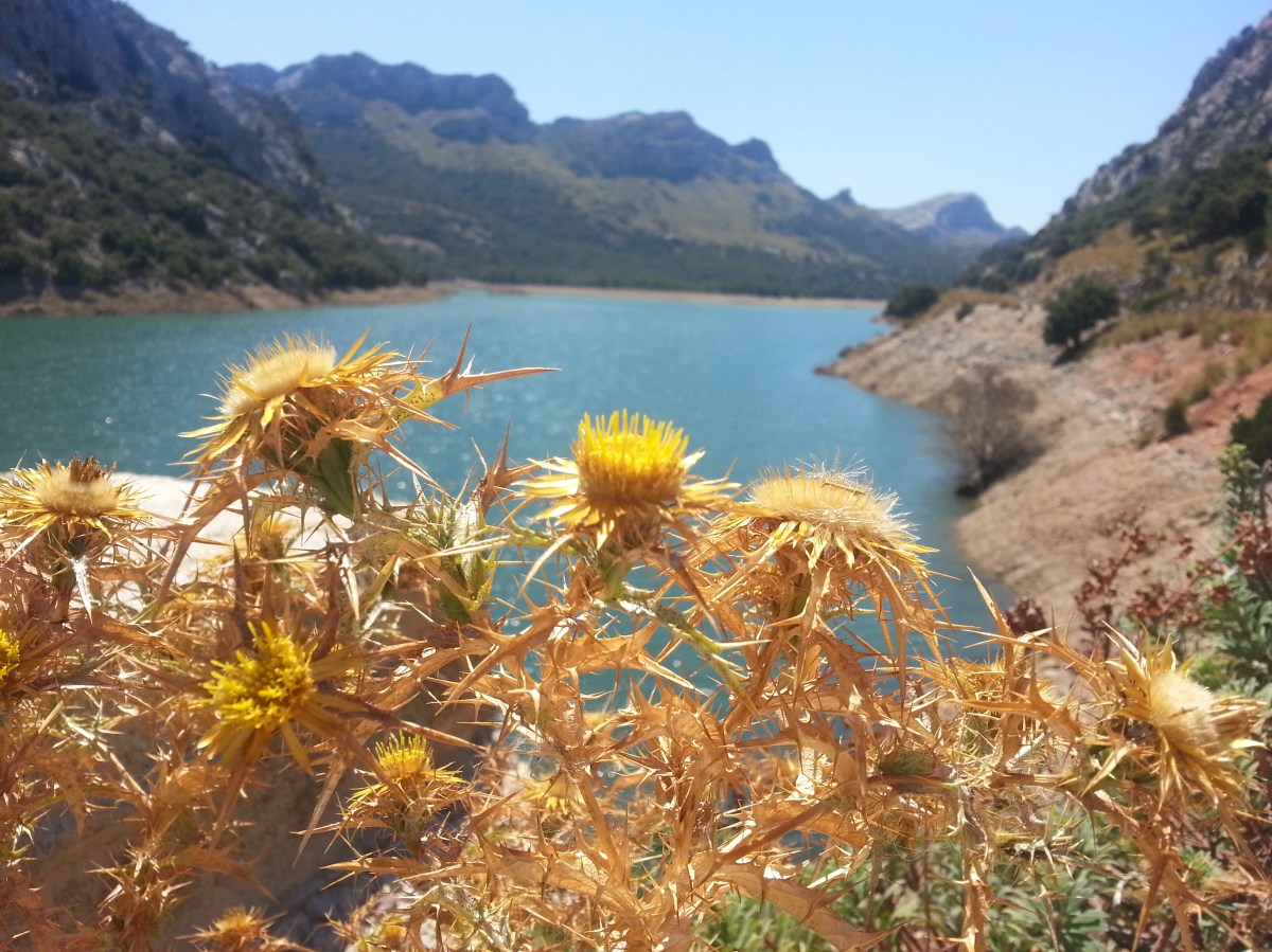 ¿Por qué el ser humano con poder es incapaz de amar? – Mapa de relaciones